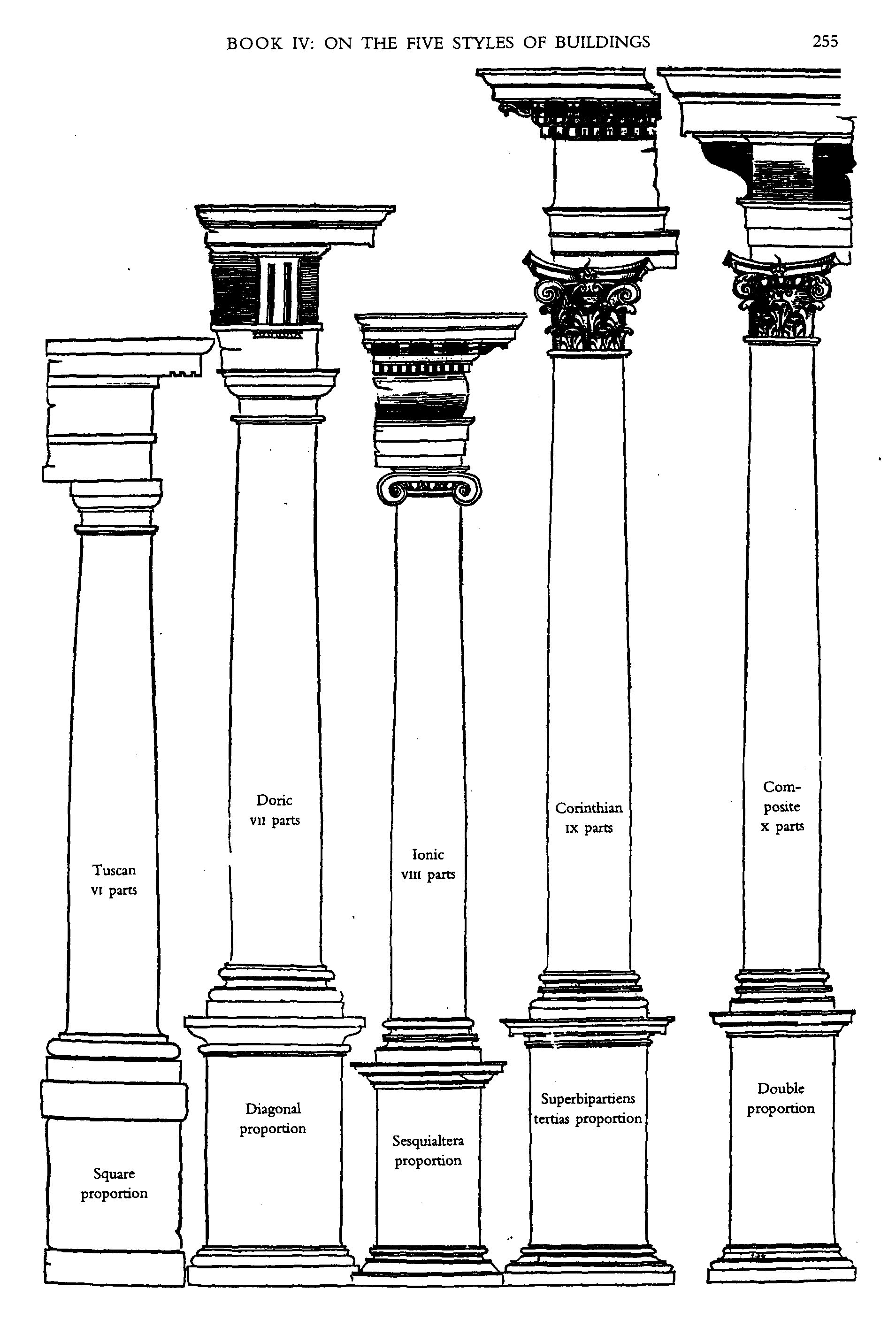 serlio_the_five_orders | The Free Art History Course